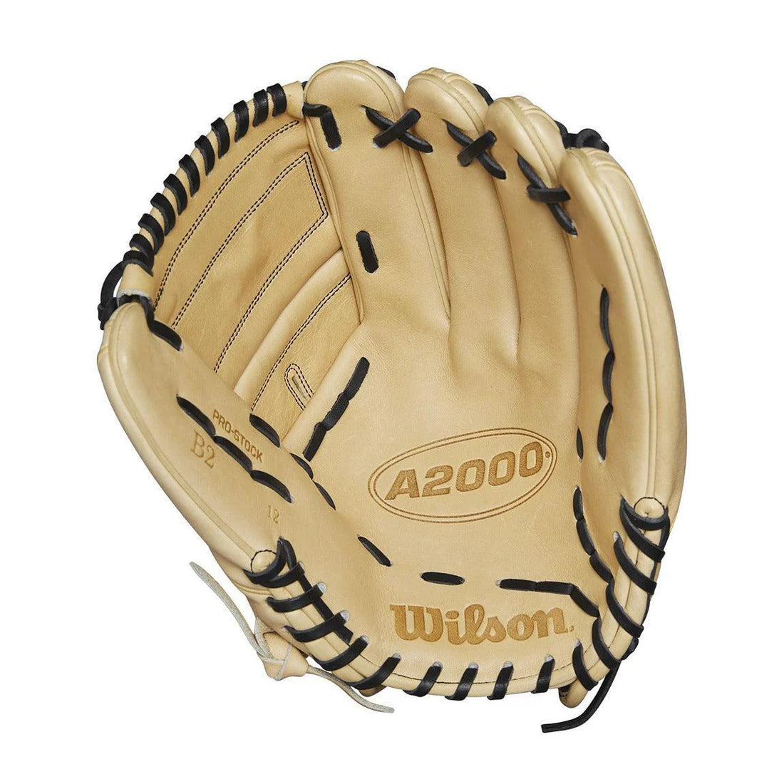 Wilson A2000 B2 2024 12" Baseball Glove – Big League Sports